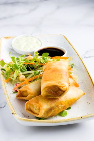 Cocktail Spring Rolls – CNI Catering